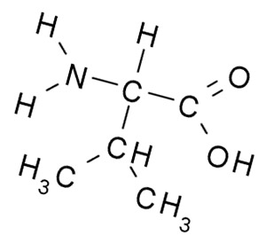Валин | LifeBio.wiki